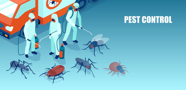 Pest Control - Homefreequote.us